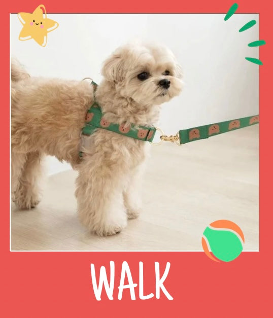 WALK