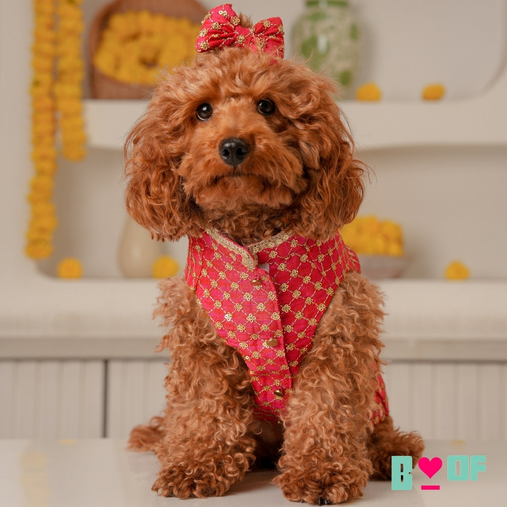 BOOFBYBELLA is a Luxury Brand for Dog Clothes, Dog Kurta & Dog Lehenga